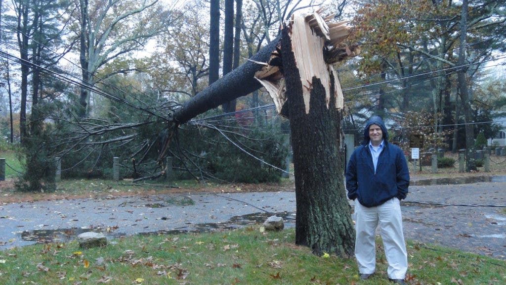 Trees Falling on Power Lines, Property | Natick, MA Patch