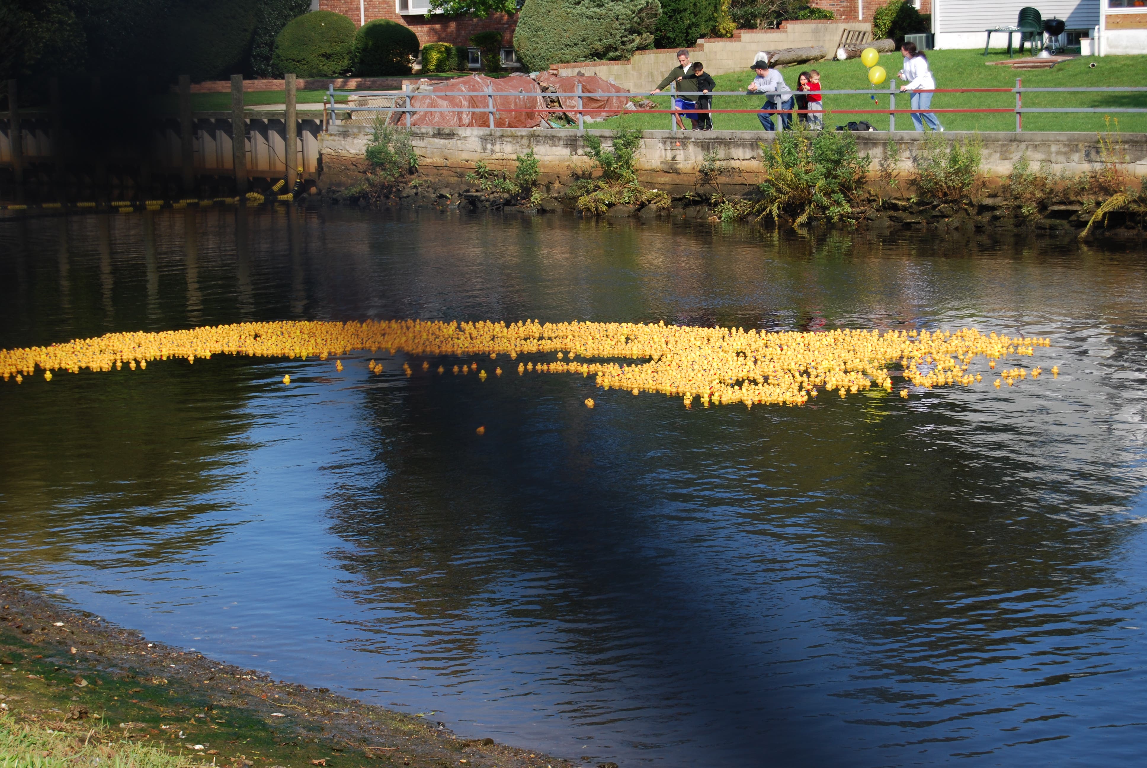 RVC LIONS CLUB DUCK RACE & FALL FESTIVAL | Rockville Centre, NY Patch