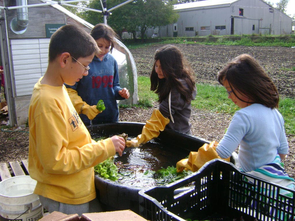 Prairie Crossing Learning Farm Camp Geared for Kids | Grayslake, IL Patch