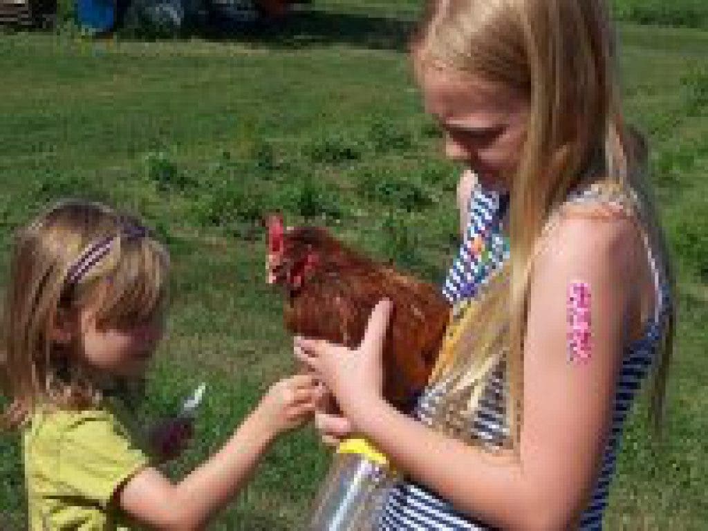 Prairie Crossing Learning Farm Camp Geared for Kids | Grayslake, IL Patch
