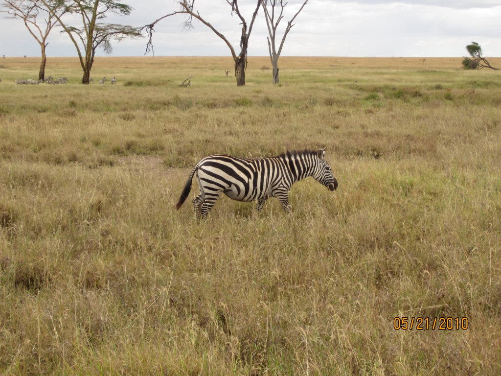 UConn Student Shares Teaching Experience in Tanzania | Mansfield, CT Patch