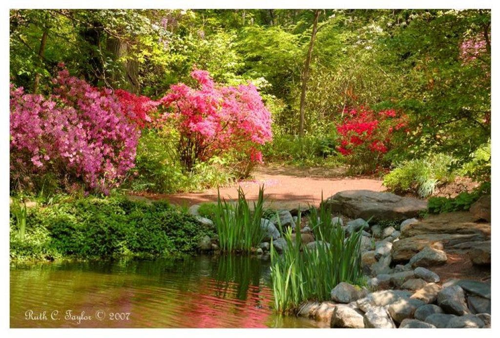 Sayen Gardens: Serenity, and an Escape from the Summer Crowds ...
