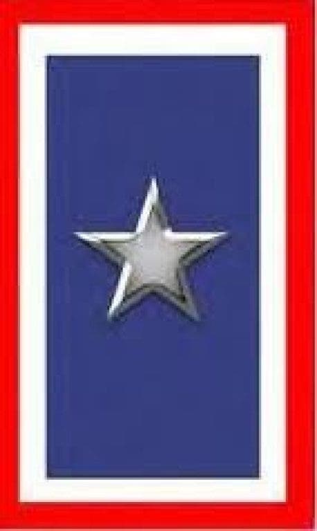 Silver Star Banner Day | Joliet, IL Patch