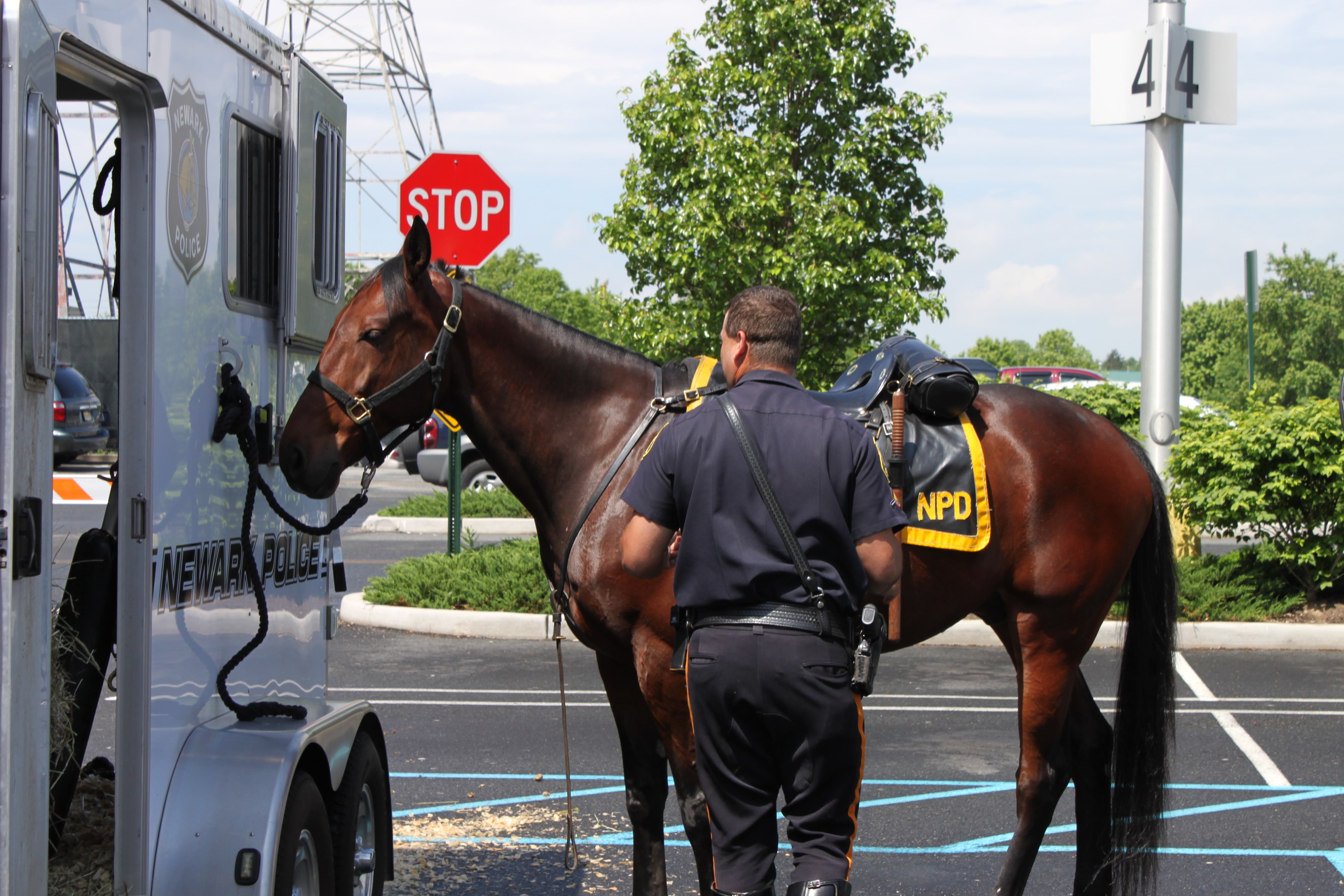 Photos: Essex County Police Expo | Livingston, NJ Patch
