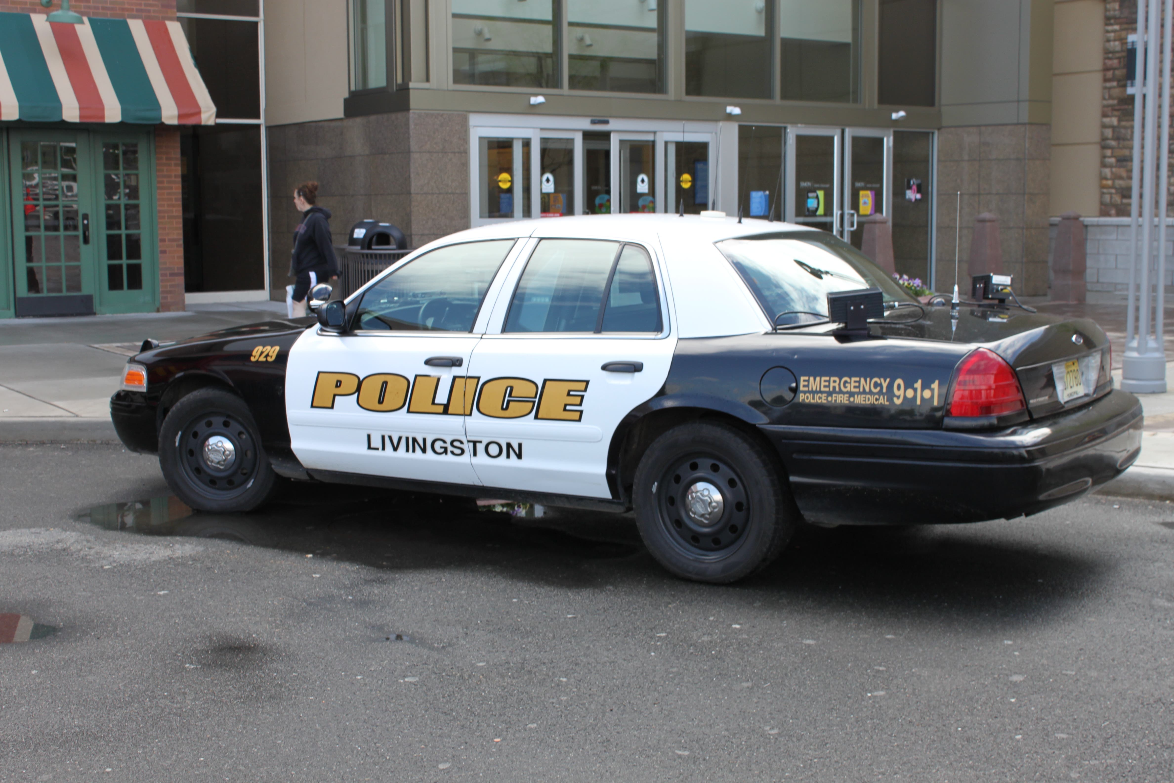 Photos: Essex County Police Expo | Livingston, NJ Patch