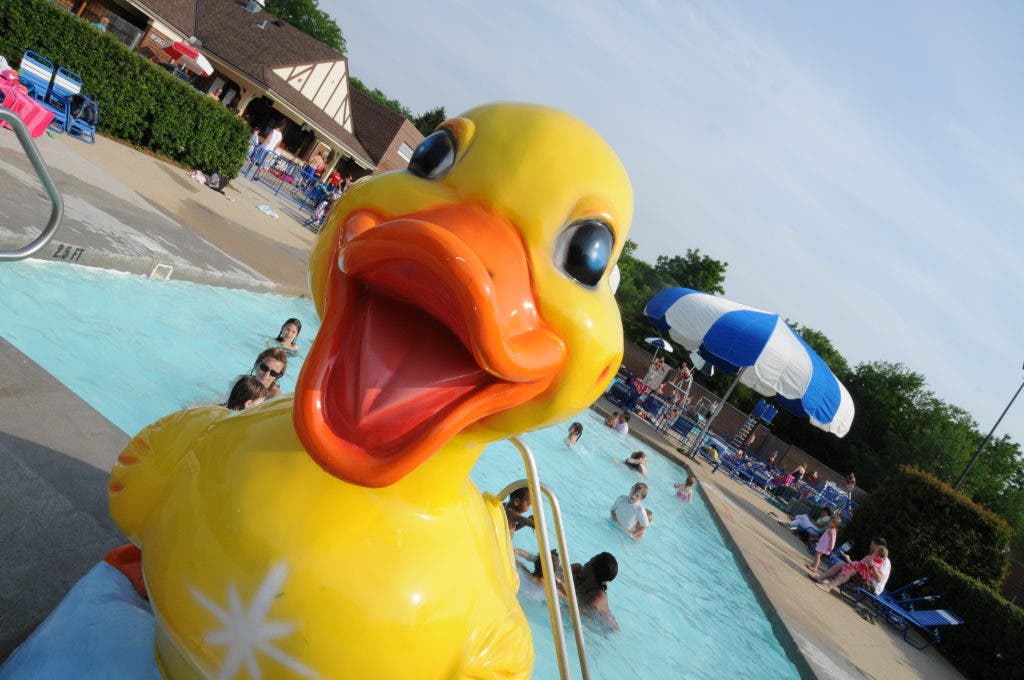 Photo Gallery: Cary Park District Community Day at the Pool | Crystal ...