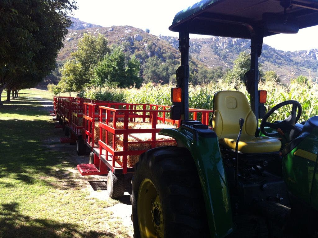 Hello Fall: Day Trip Over to Bates Nut Farm for Giant Pumpkins [Photo ...