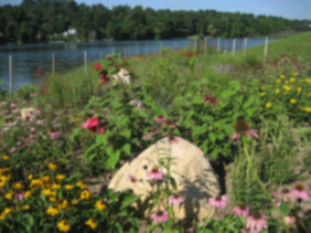 Lake Kenosia Closed for Swimming | Danbury, CT Patch