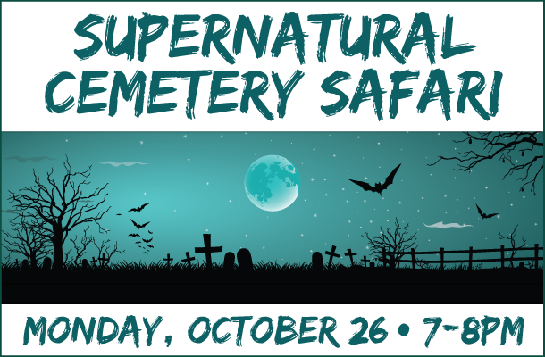 Supernatural Cemetery Safari @ the Chicago Ridge Public Library | Oak ...