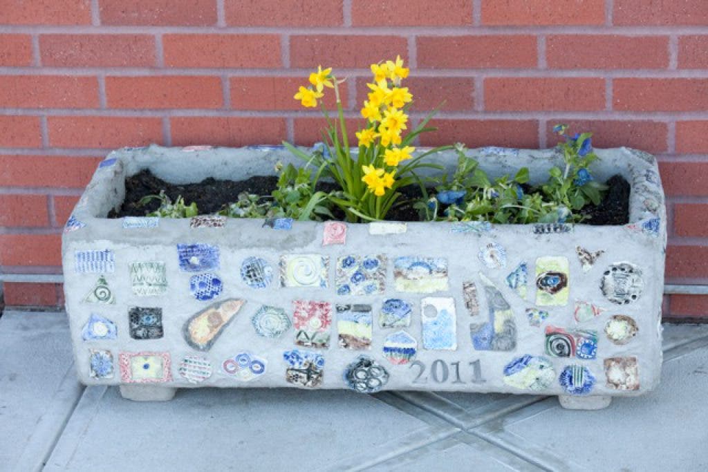 Plant-Astic: Flowers, Photography, and Art | Montclair, NJ Patch