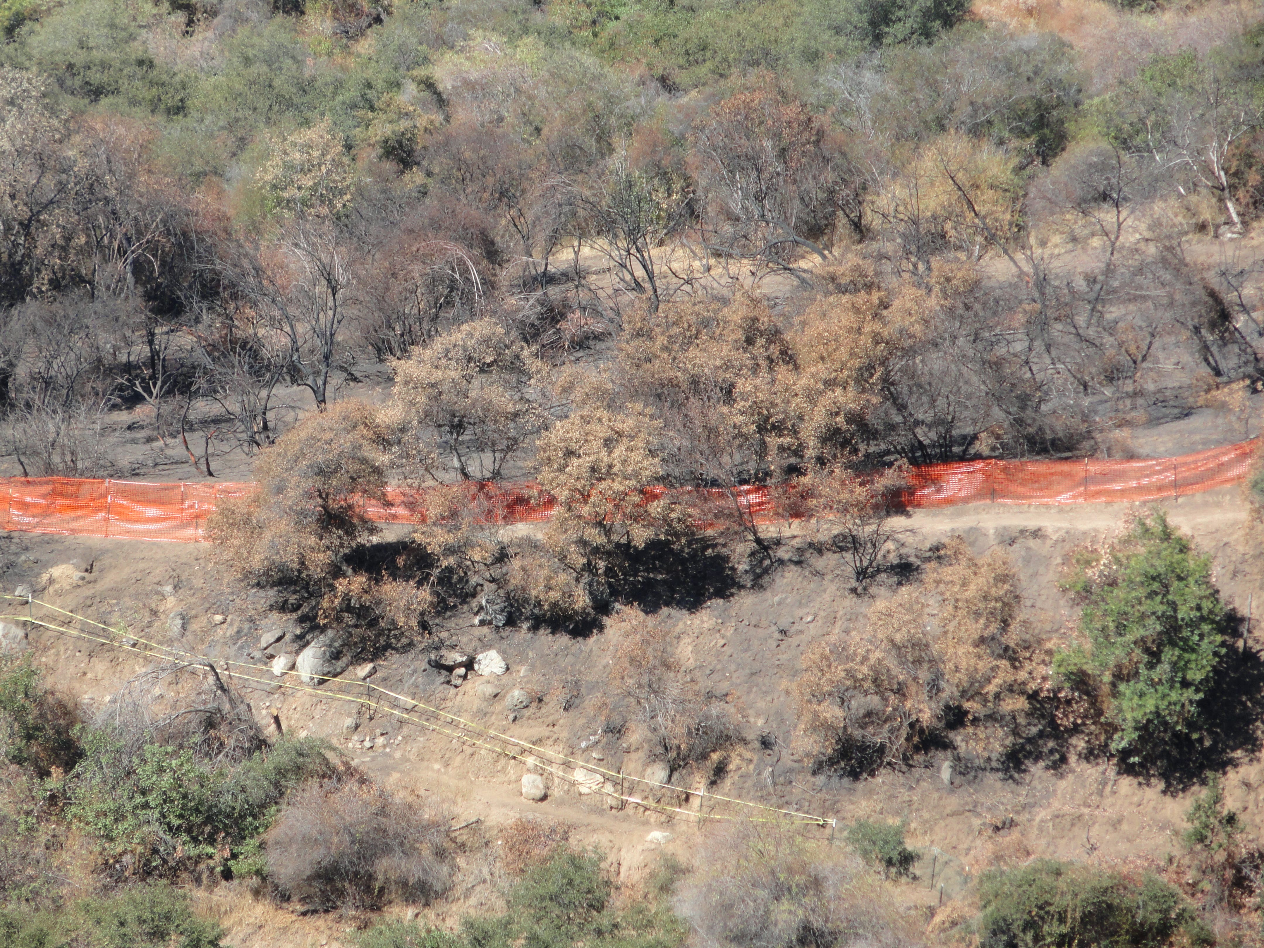 Fire Chief: Wildfire in Overgrown Hillsides Is Overdue, 'Inevitable ...