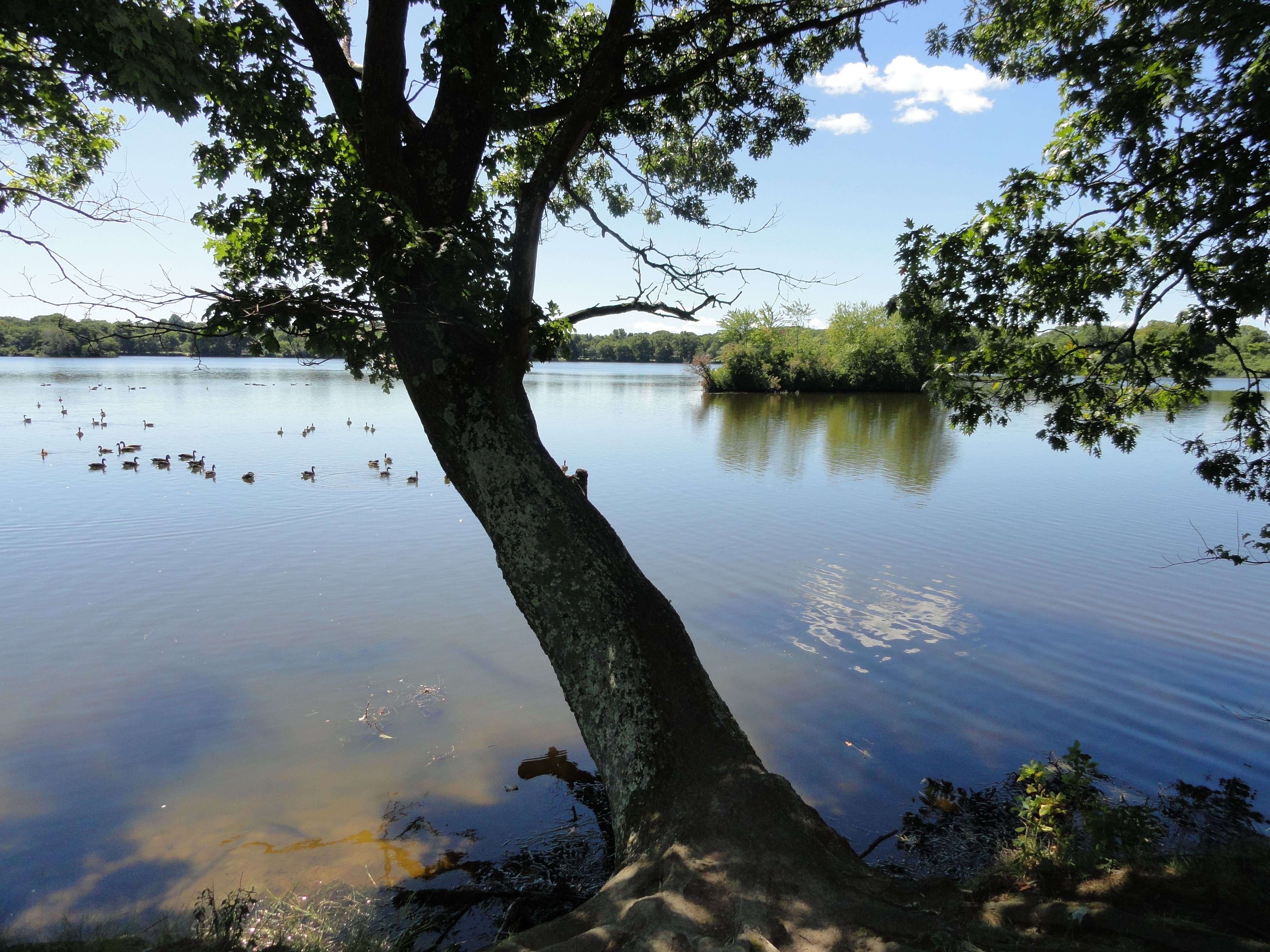 Hidden Gem: Veterans Memorial Park | Barrington, RI Patch