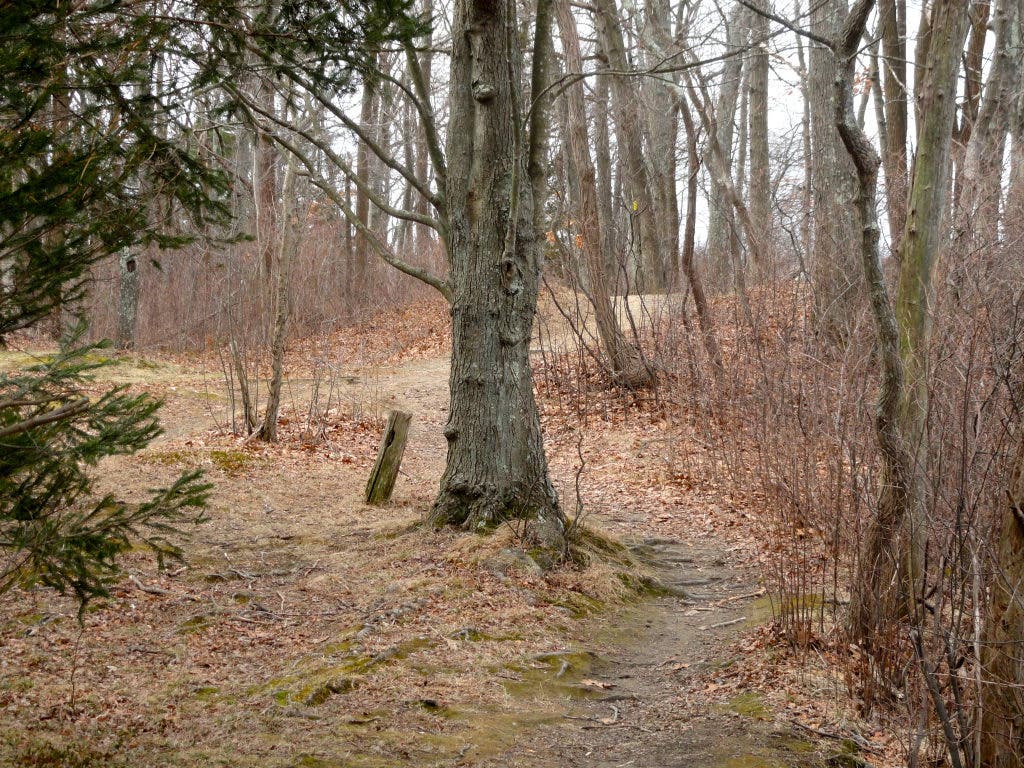 Hidden Gem: Veterans Memorial Park | Barrington, RI Patch
