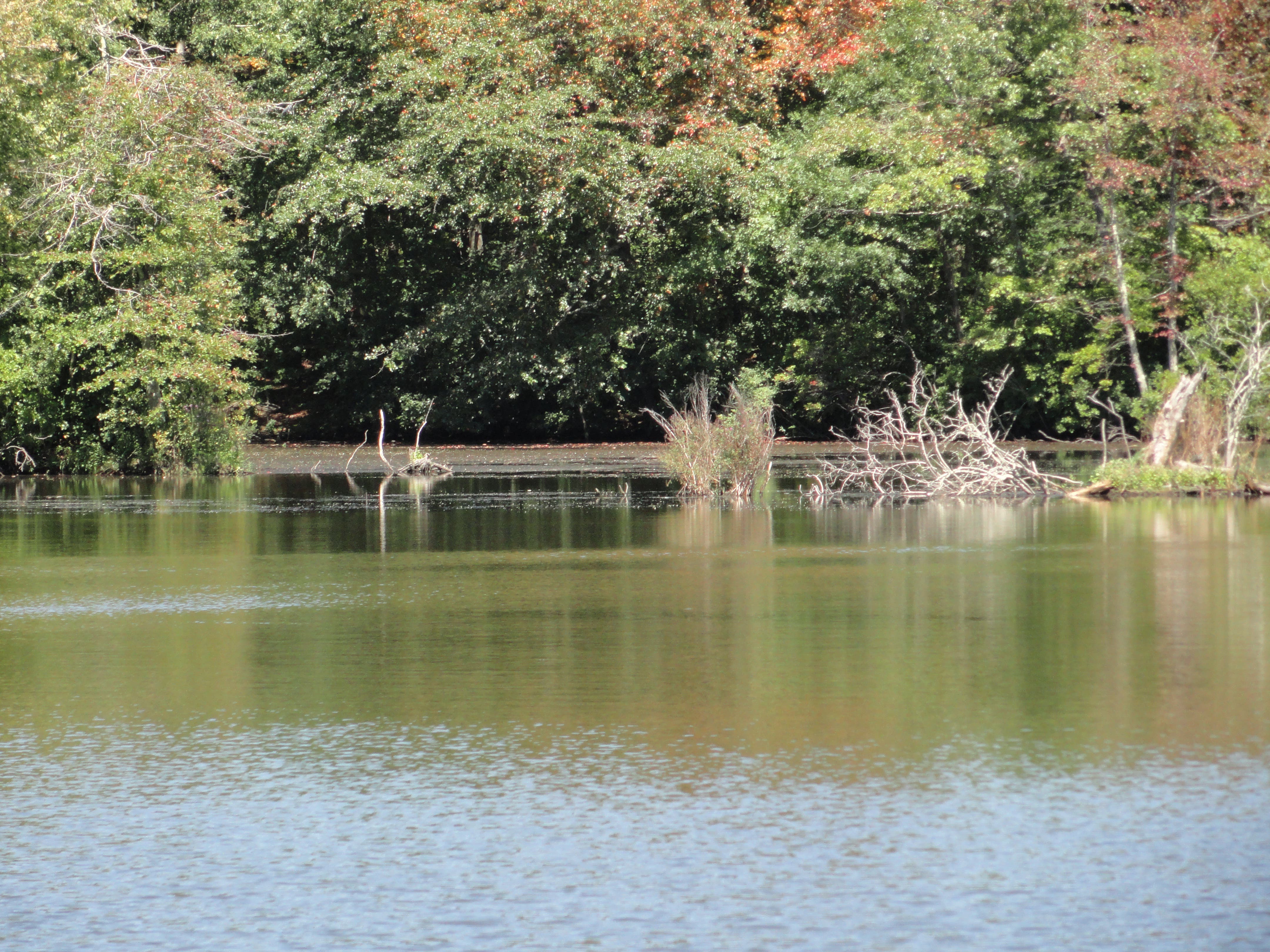 Hidden Gem: Veterans Memorial Park | Barrington, RI Patch