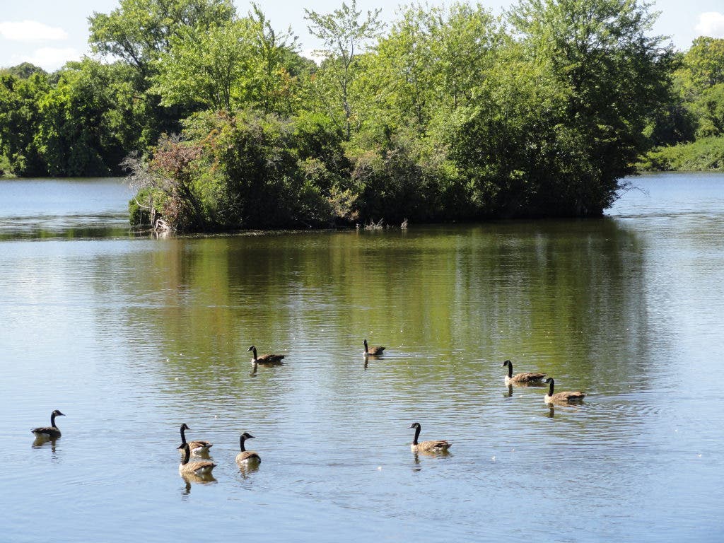 Hidden Gem: Veterans Memorial Park | Barrington, RI Patch