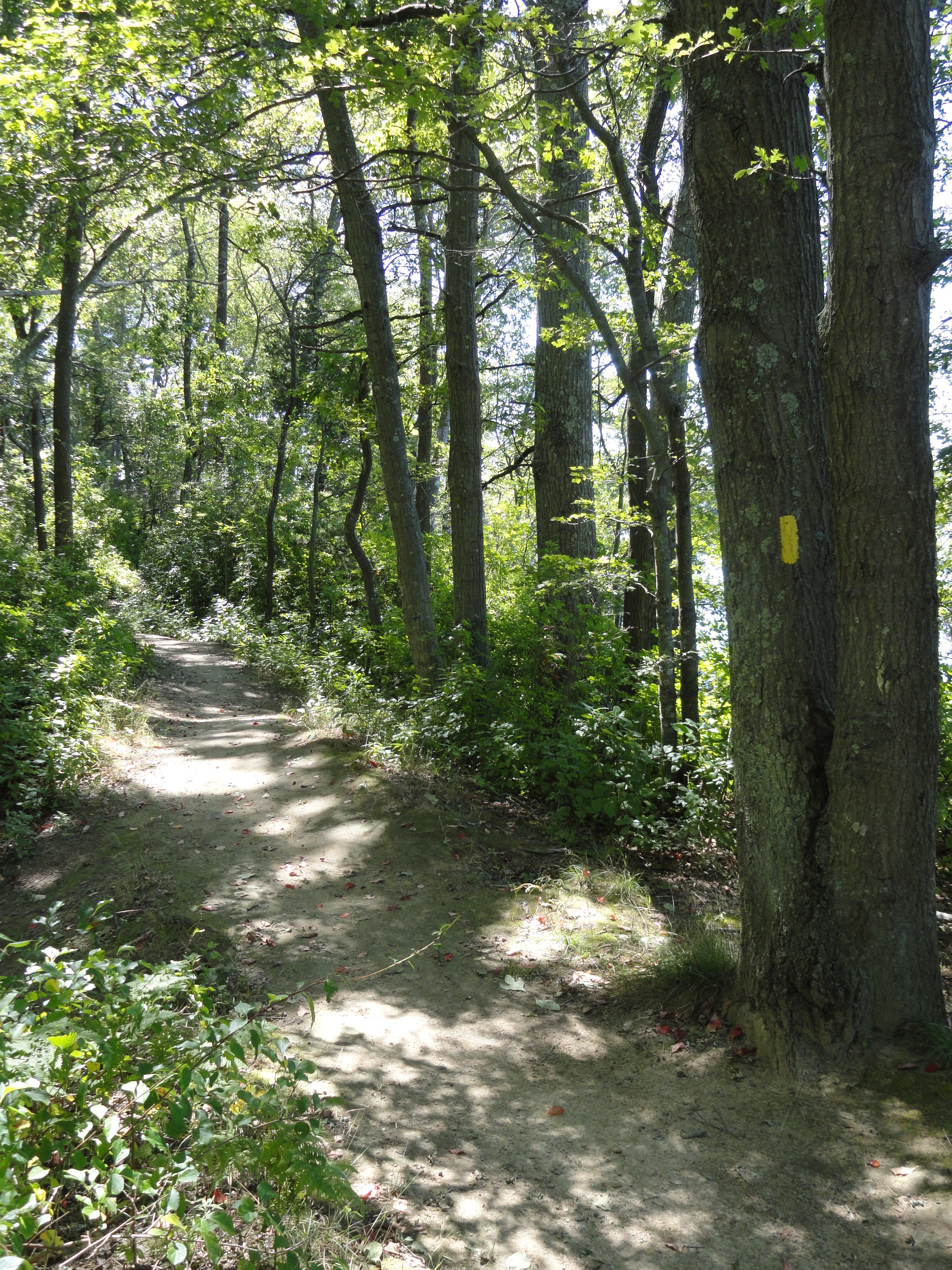 Hidden Gem: Veterans Memorial Park | Barrington, RI Patch