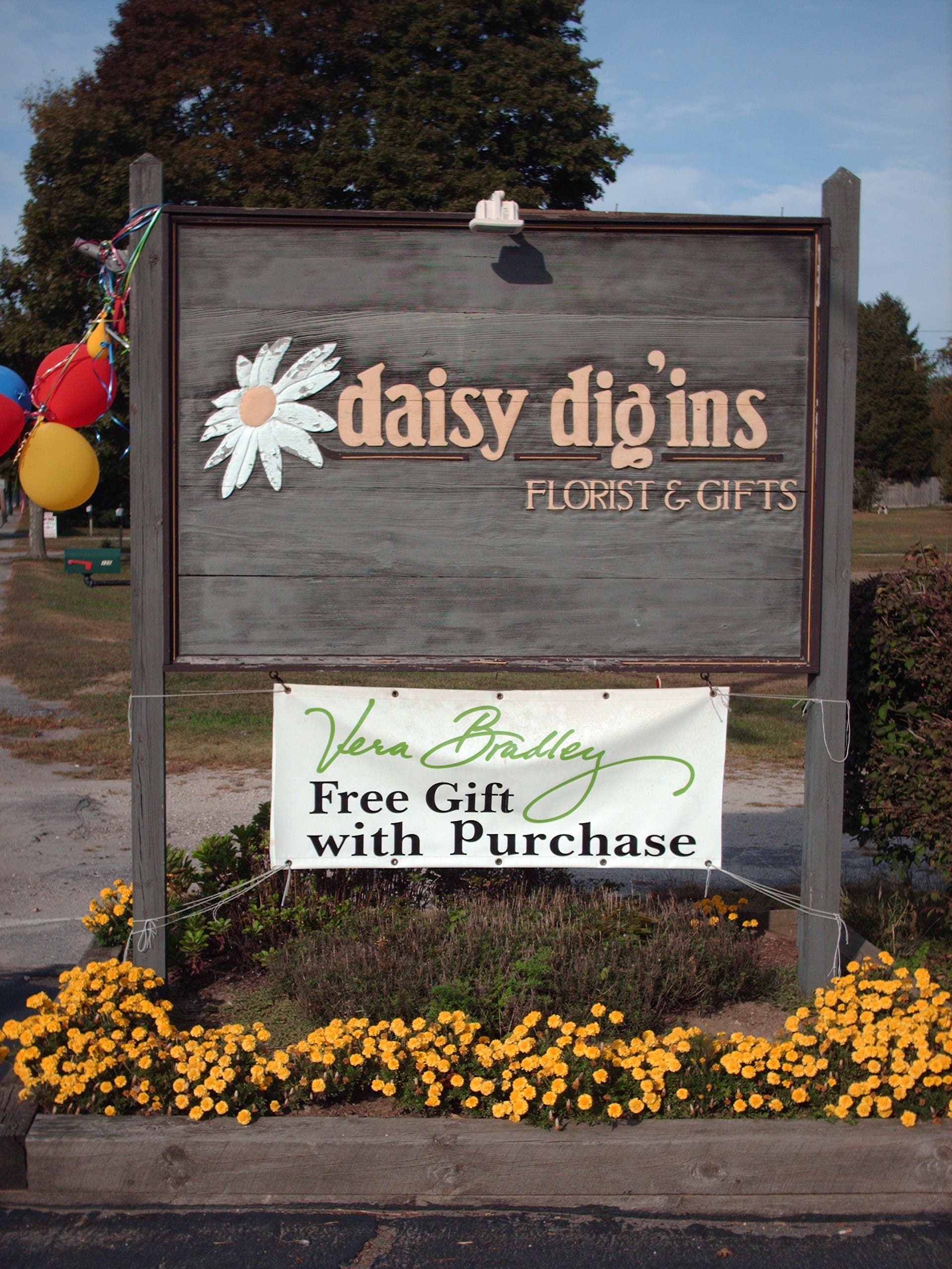 Daisy Dig'ins Feting 35th Anniversary | Barrington, RI Patch