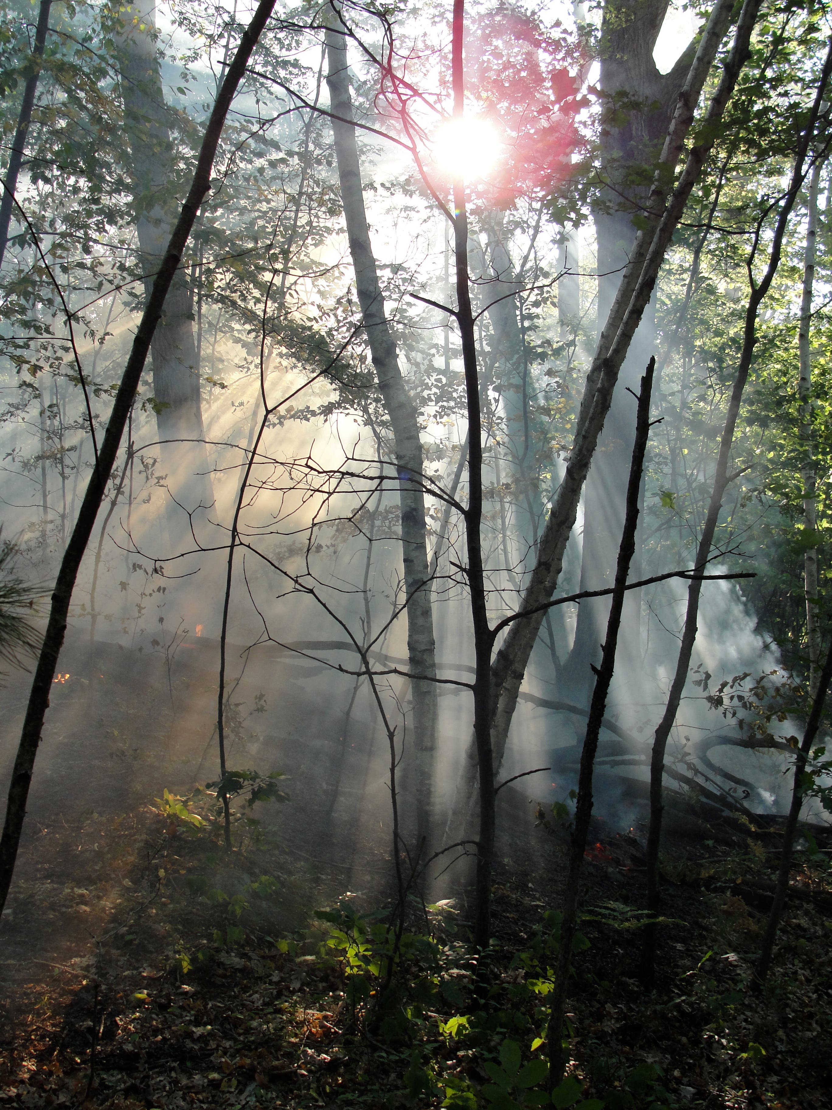 Warning In Effect for Possible Forest Fires Today | Naugatuck, CT Patch
