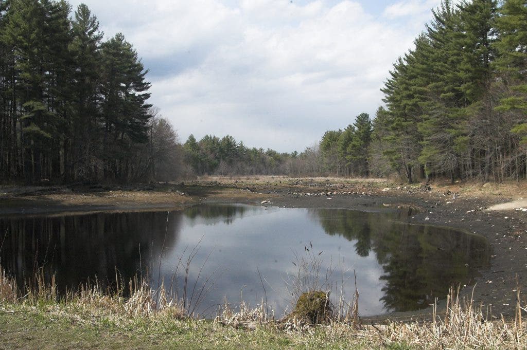What Happened to Adams Pond? | Londonderry, NH Patch
