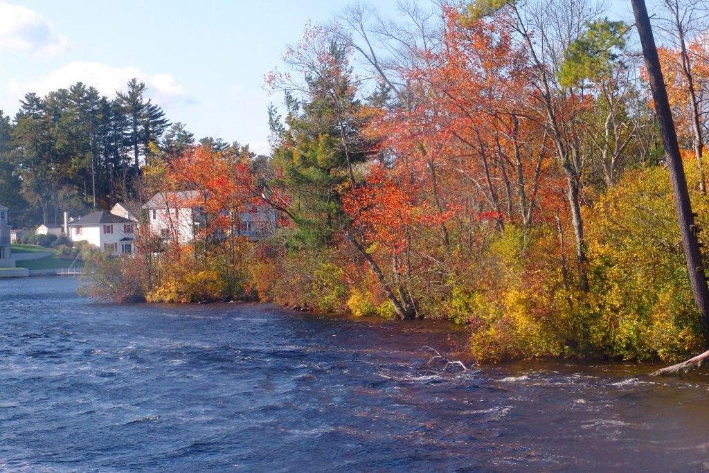 Photo of the Day: Foliage on Arlington Pond | Salem, NH Patch