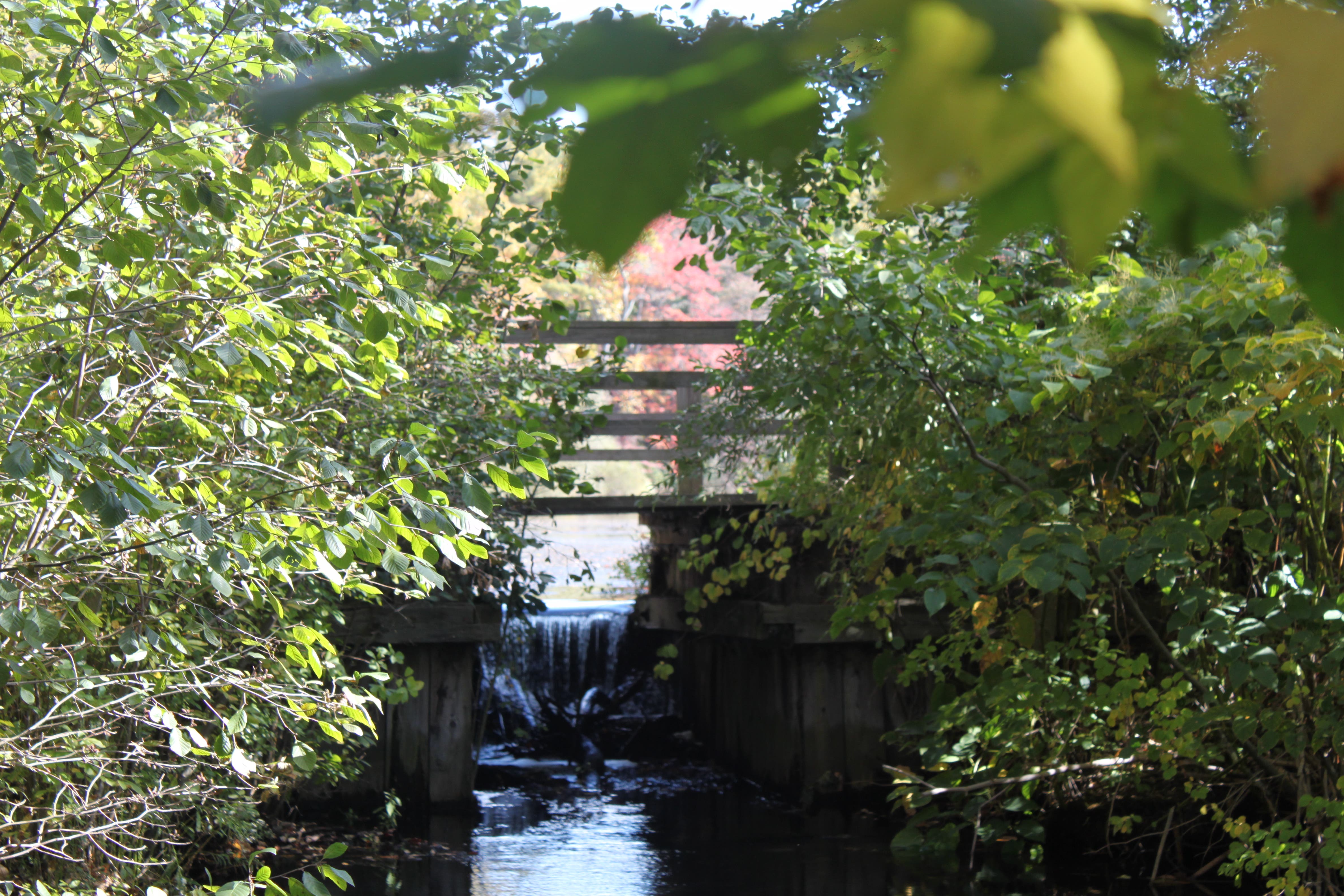Photos: Smithtown Parks in Autumn | Smithtown, NY Patch