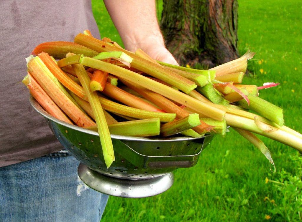 Spring Recipe: Rhubarb, White Wine and Vanilla | Northfield, MN Patch