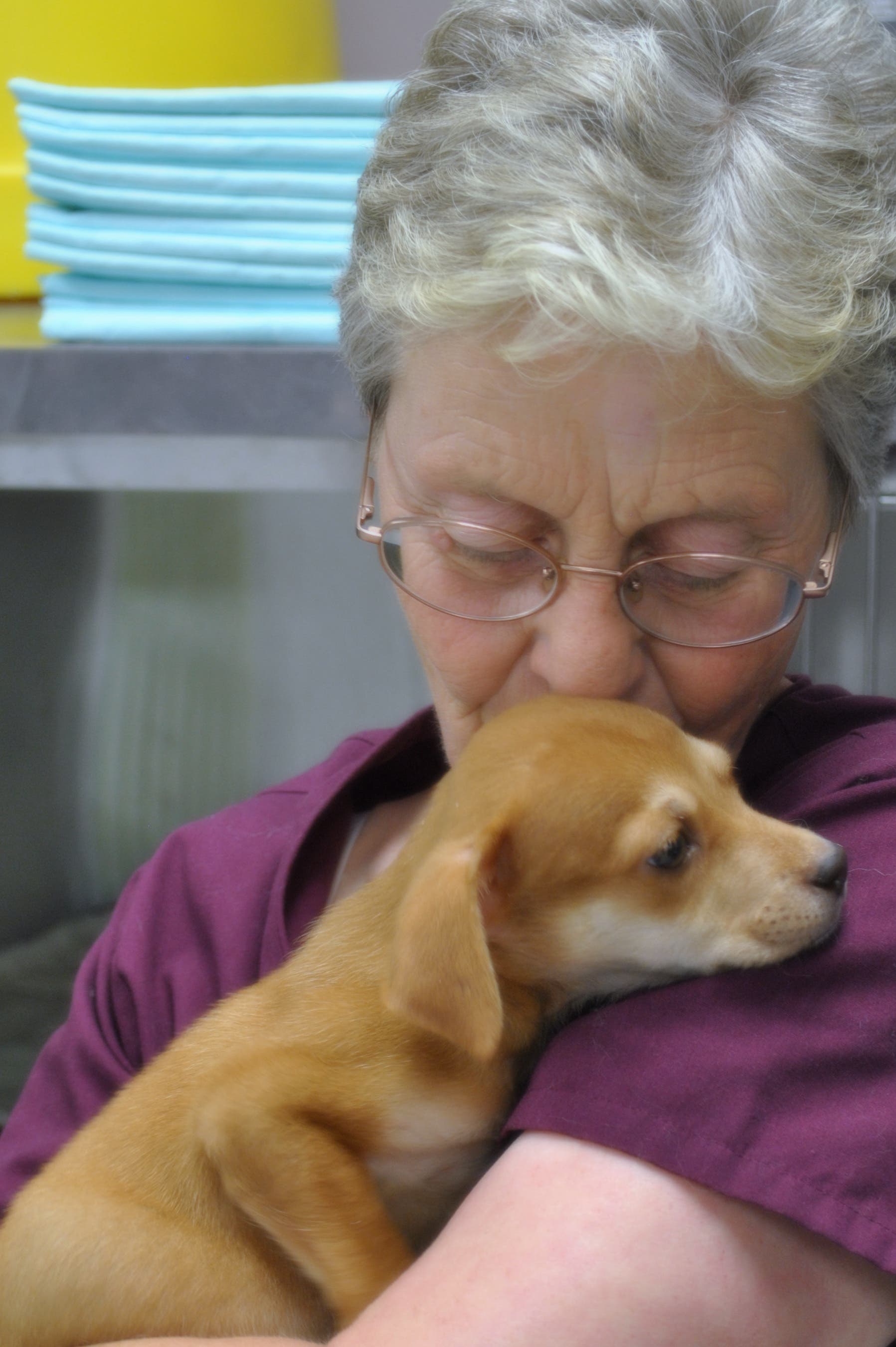 Premier Veterinary Group Expands Offerings with Opening of New Facility ...