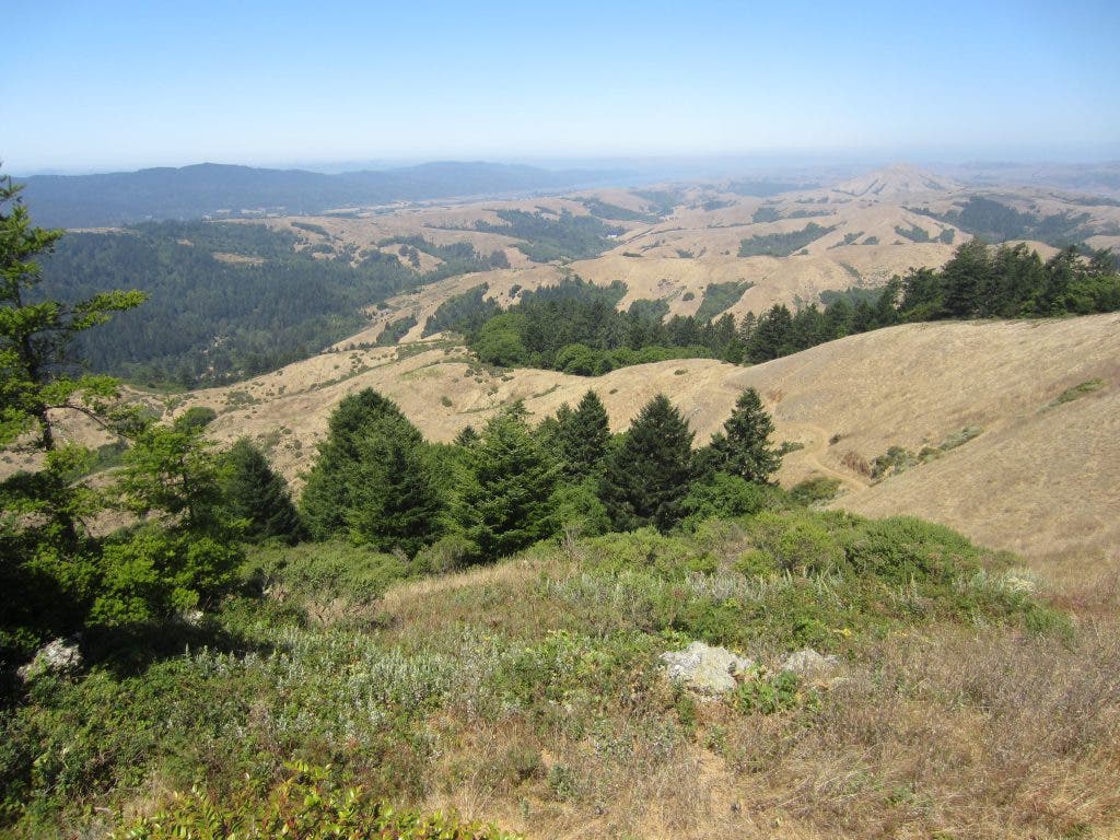 Climb to the Fire Lookout Atop Mt. Barnabe | Mill Valley, CA Patch