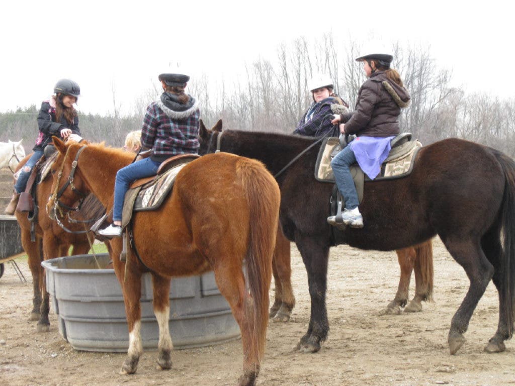 Maybury Riding Stable Offers Trail Rides, Pony Parties, and More ...