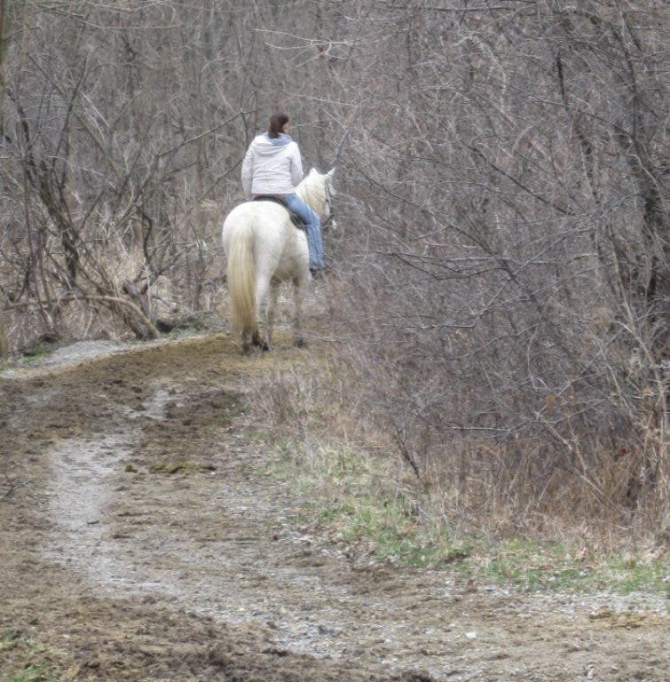 Maybury Riding Stable Offers Trail Rides, Pony Parties, and More ...