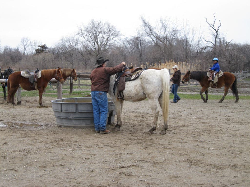 Maybury Riding Stable Offers Trail Rides, Pony Parties, and More ...