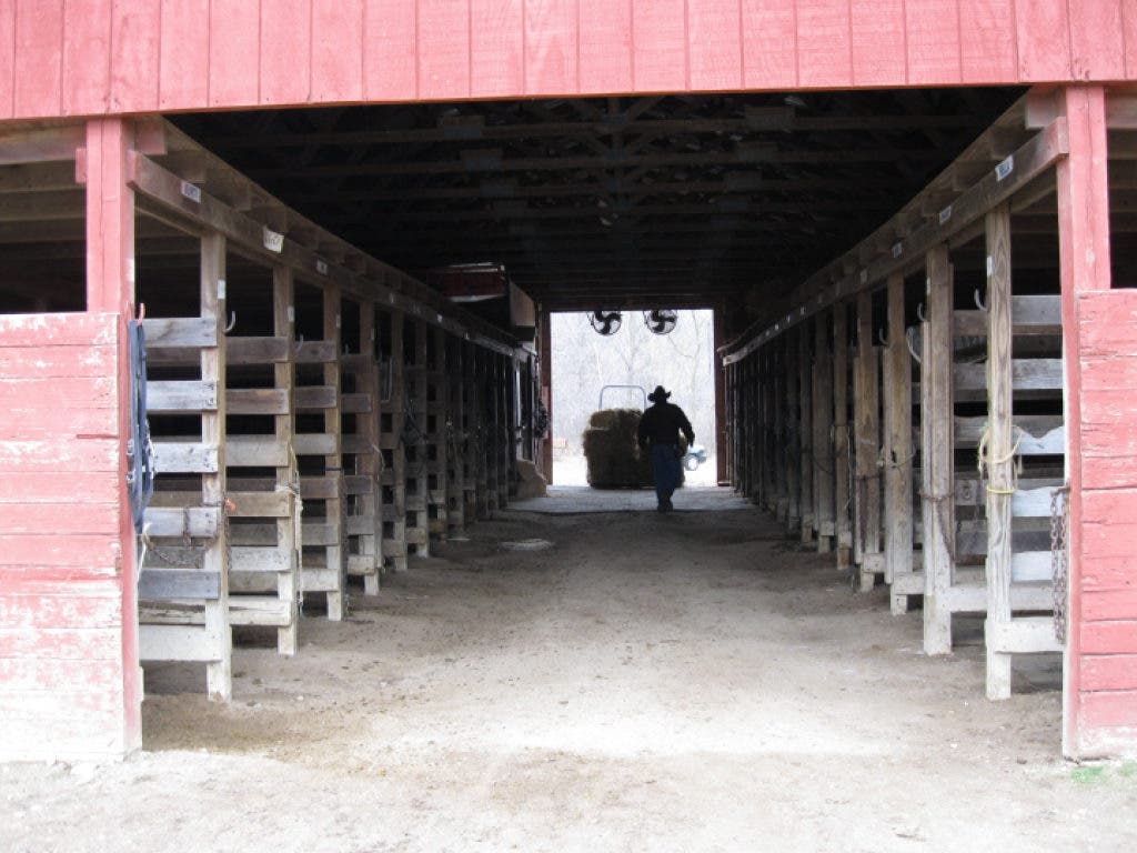Maybury Riding Stable Offers Trail Rides, Pony Parties, and More ...