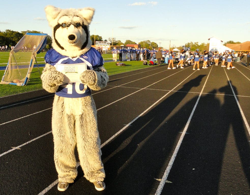 Congrats Lakeview Husky! You're the Best Mascot in the Shores | St ...