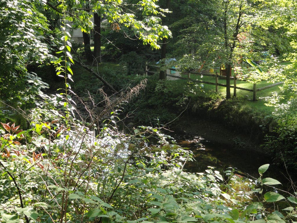 Peckman River: Before and After Irene | Verona, NJ Patch