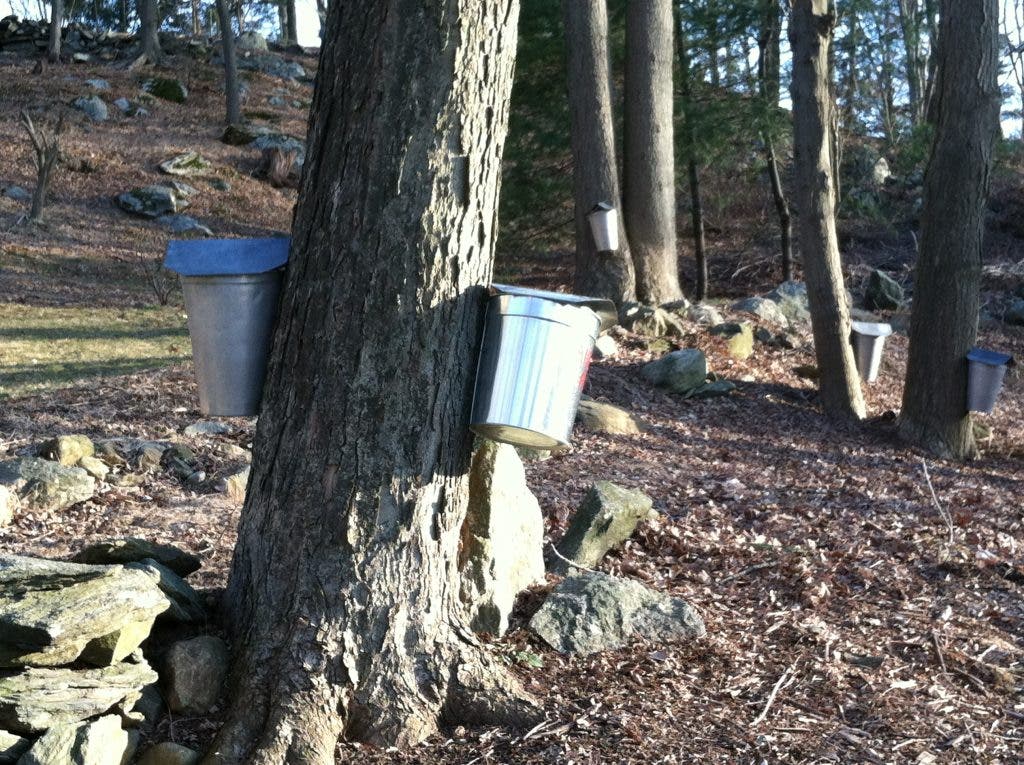 Gallery: Terry Meehan's Great Wall of Wood | Bethel, CT Patch