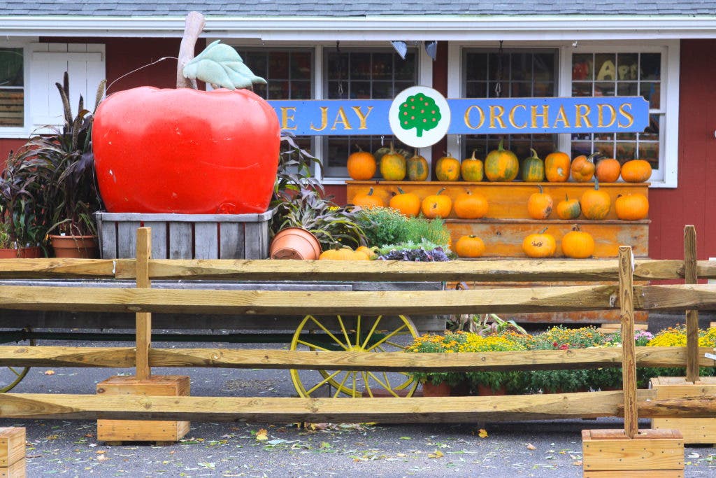 Blue Jay Orchard Celebrates The Season With Activities And Apples ...