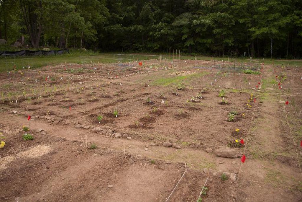 How Can We Register for the Community Garden? | Merrimack, NH Patch