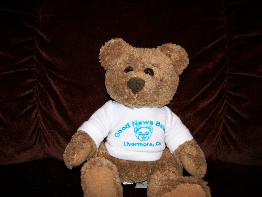 Good News Bears' Octobear Affaire | Pleasanton, CA Patch