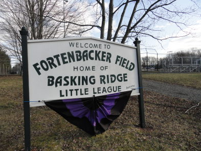 Ridge Baseball Spring Club Baseball and T-Ball Registration Now Open ...