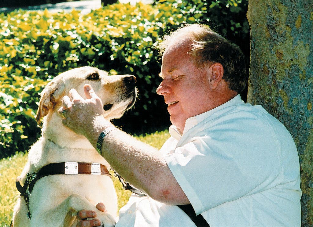 Guide Dog, a Hero of 9/11, Wins Posthumous Award | Novato, CA Patch