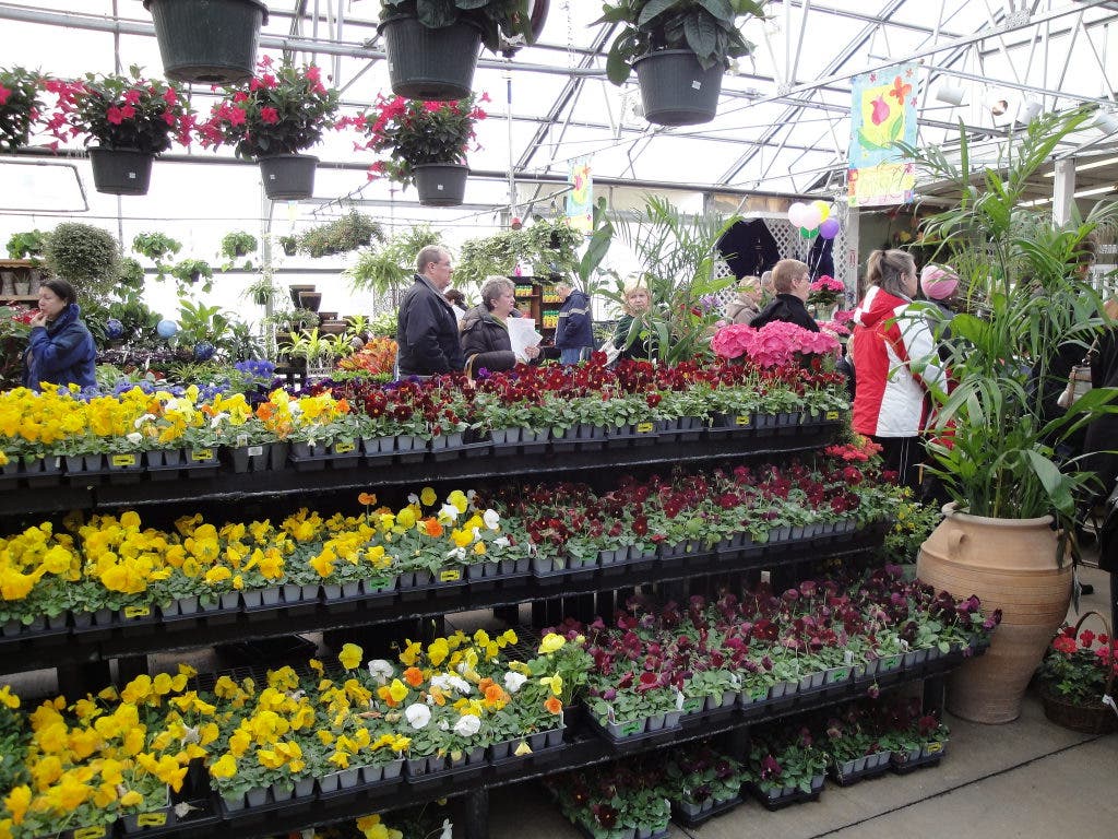 Knupper's Kicks Off Spring With Flower Show | Palatine, IL Patch