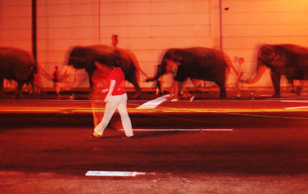 Photos: Hollywood Actor Joins the Circus | Hollywood, CA Patch