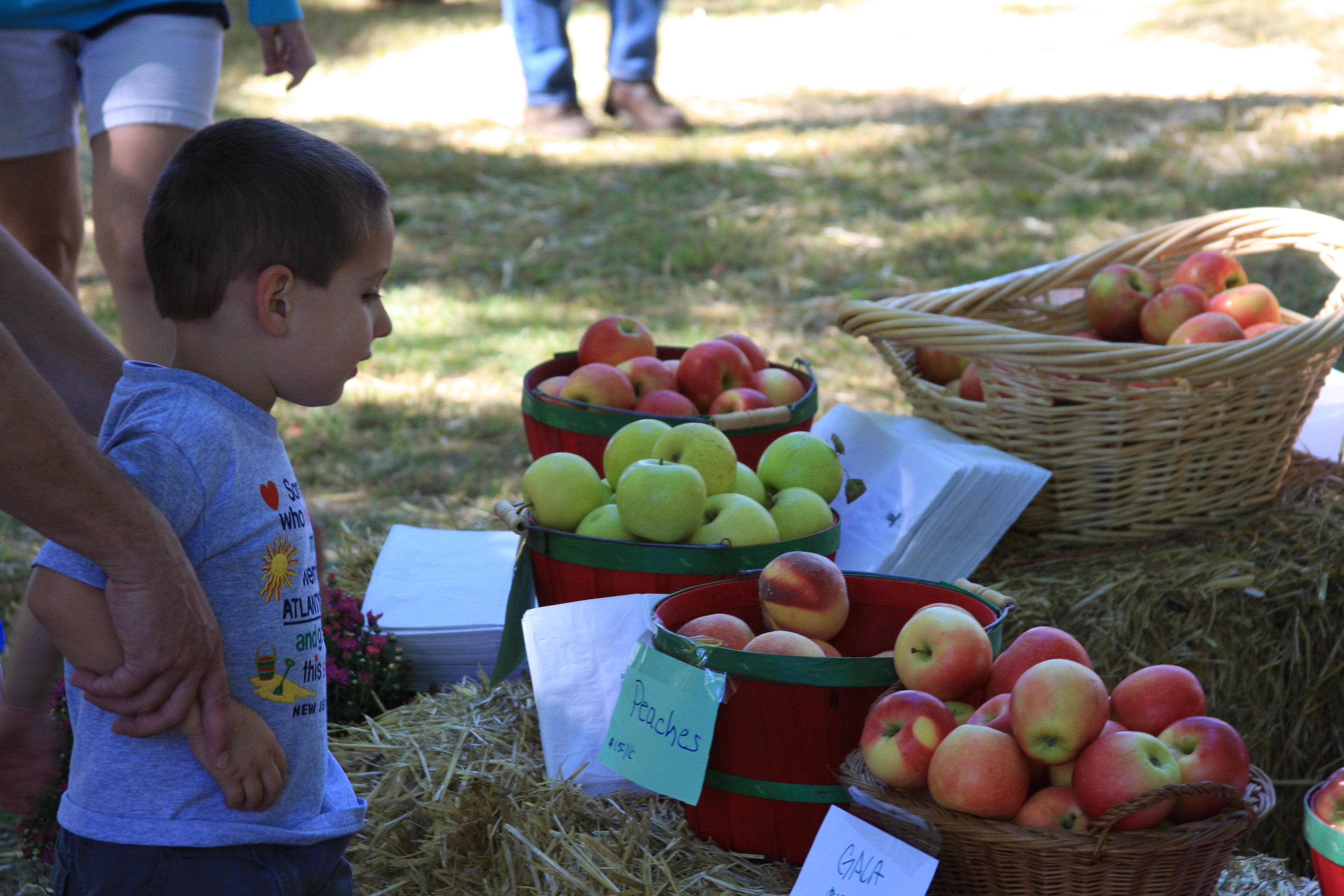 Crowds Flock to Apple Festival All Day | Monroe, CT Patch