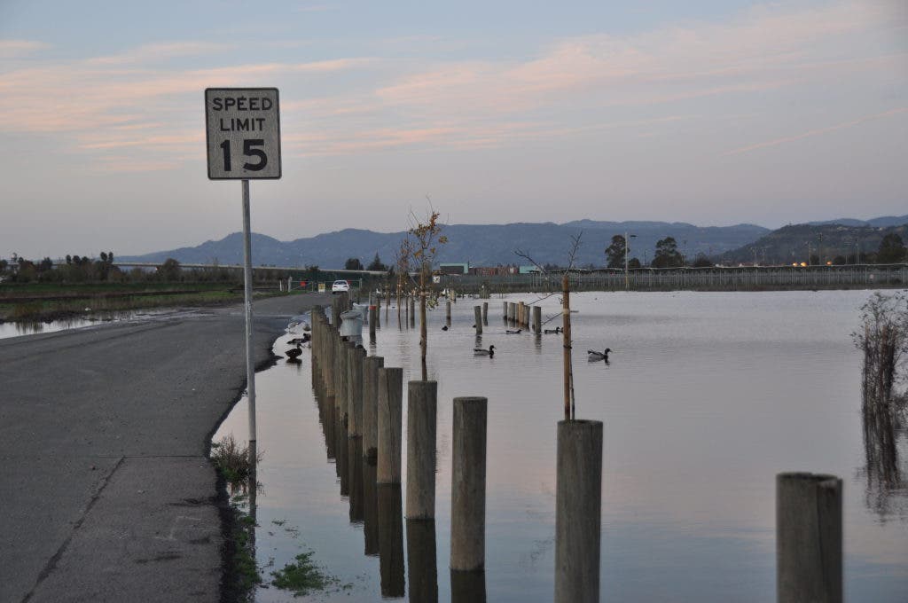 Napa River Flood Threat Ebbs; Some Parks Closed | Napa Valley, CA Patch