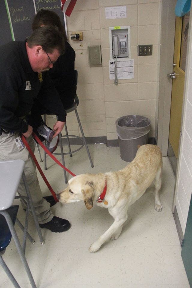 Horton the Arson Dog Retires from Howard County Fire and Rescue ...