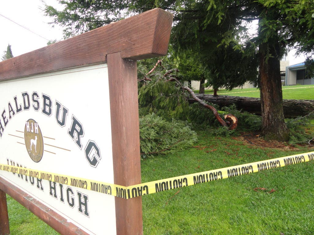 Tree down at Healdsburg Junior High | Healdsburg, CA Patch