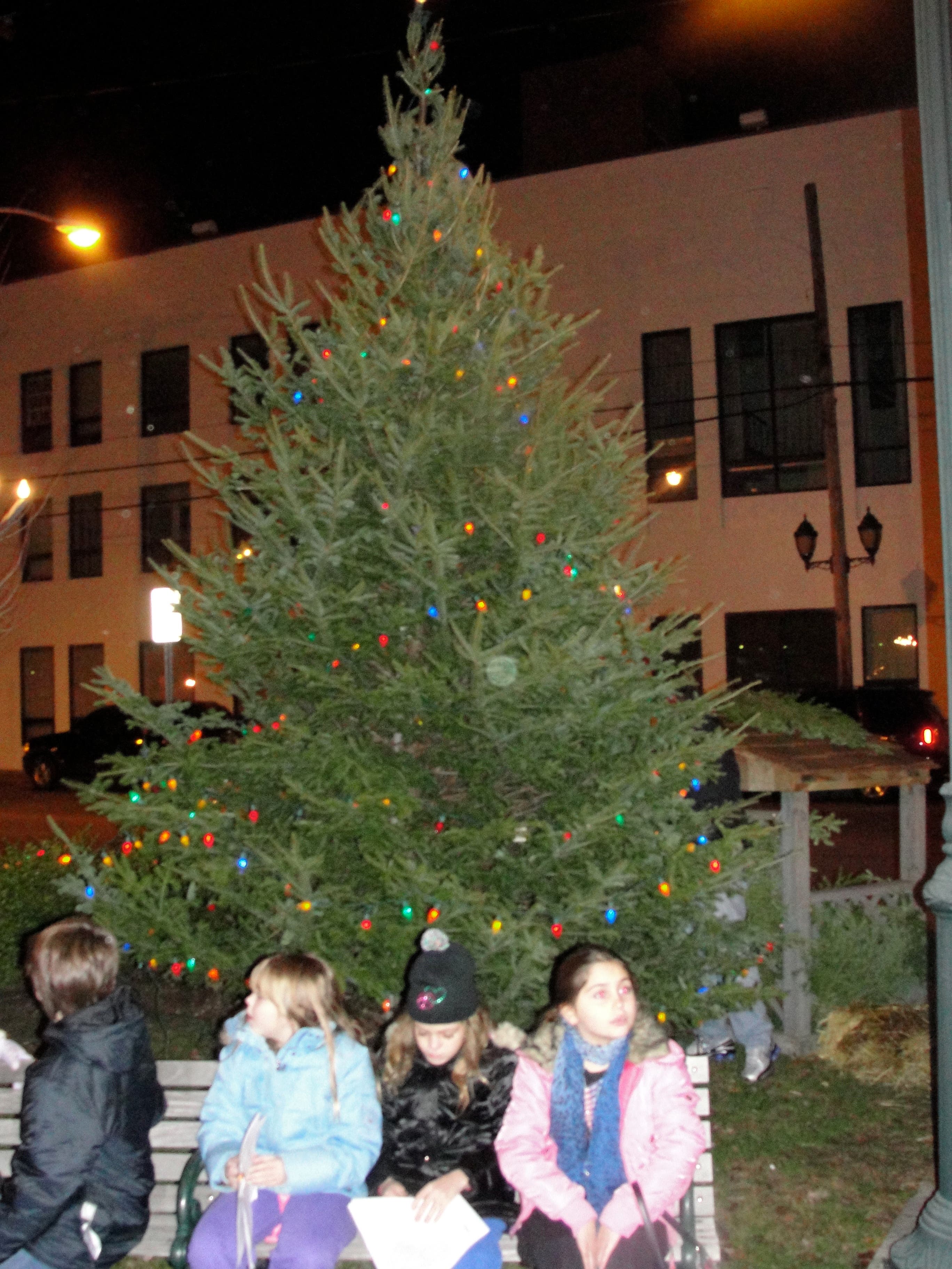 Christmas Tree and Menorah Lighting | Merrick, NY Patch
