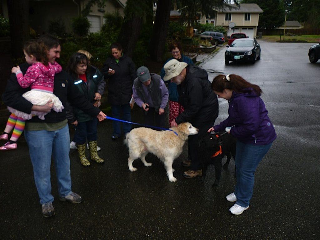 FOUND: Mandy, Missing Since Car Fire, Reunited with Owner | Kirkland ...