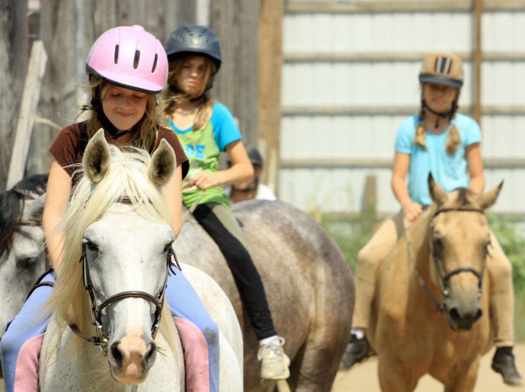 Photos of the Day: Tamarack Stables | Lorton, VA Patch