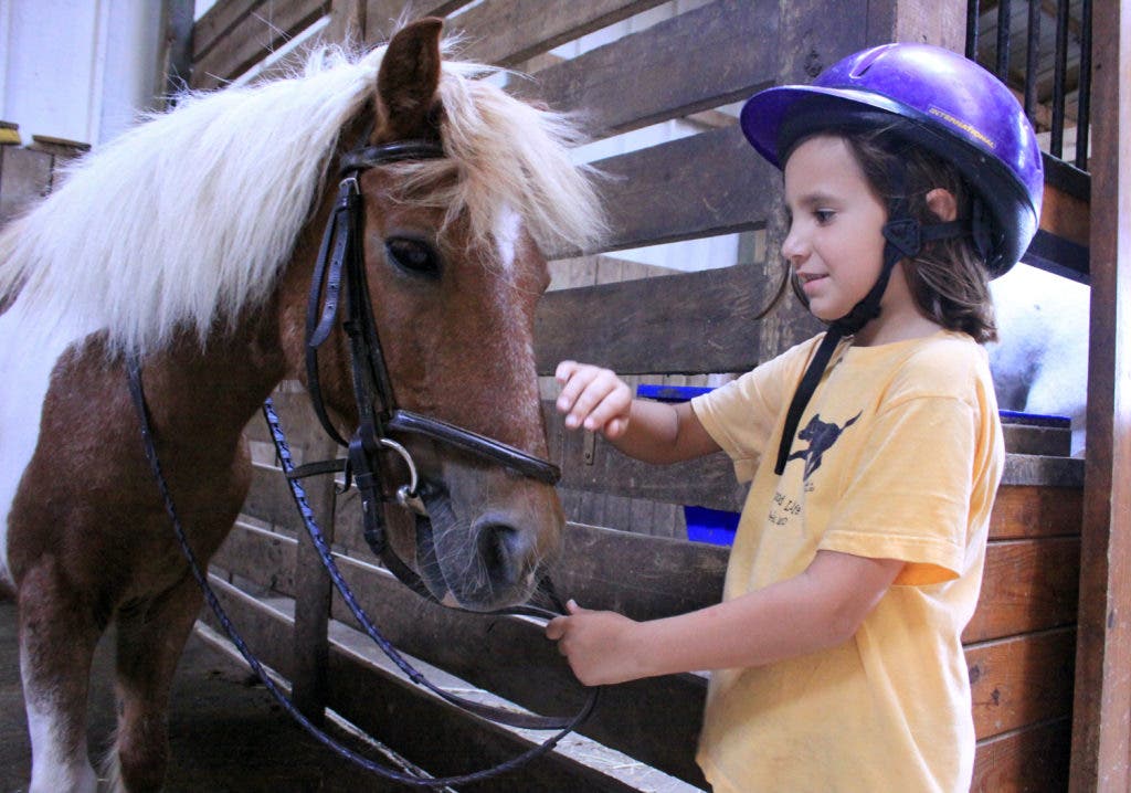 Photos of the Day: Tamarack Stables | Lorton, VA Patch